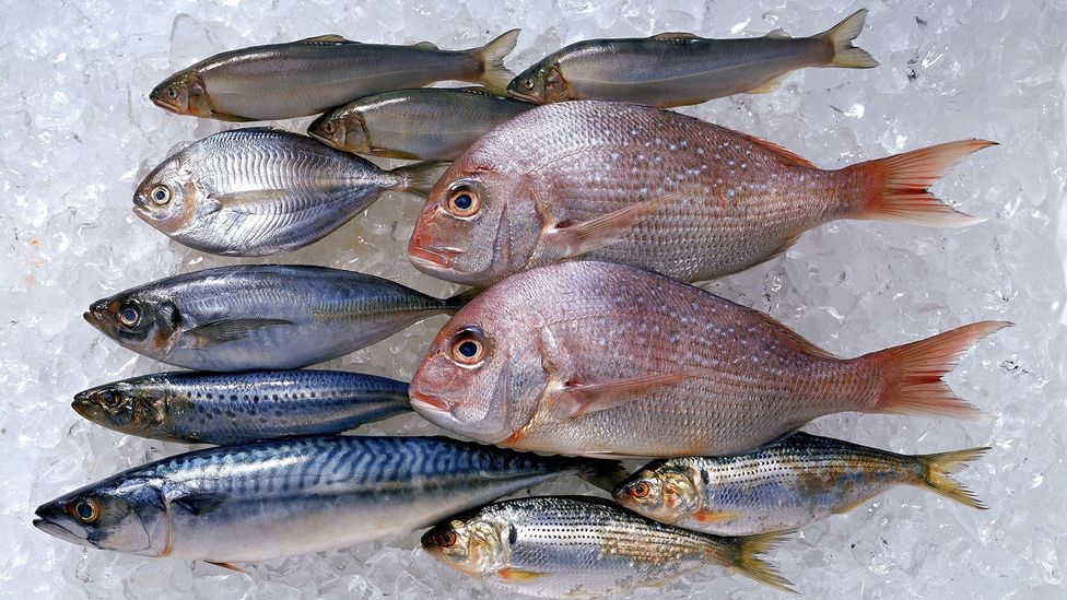 Is eating fish only healthy?