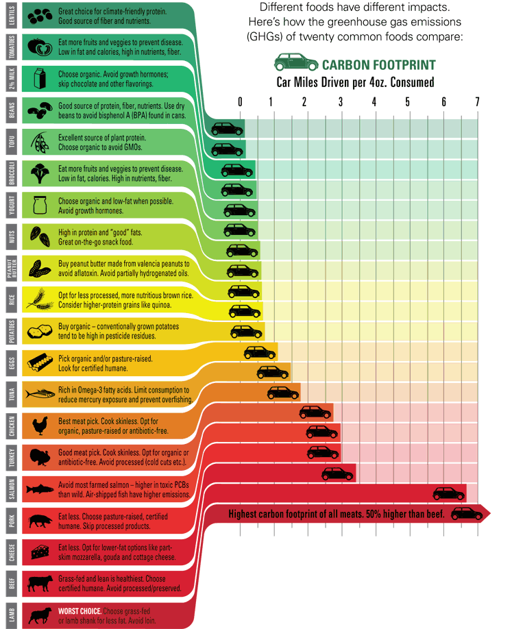 Is eating meat or fish worse for the environment?