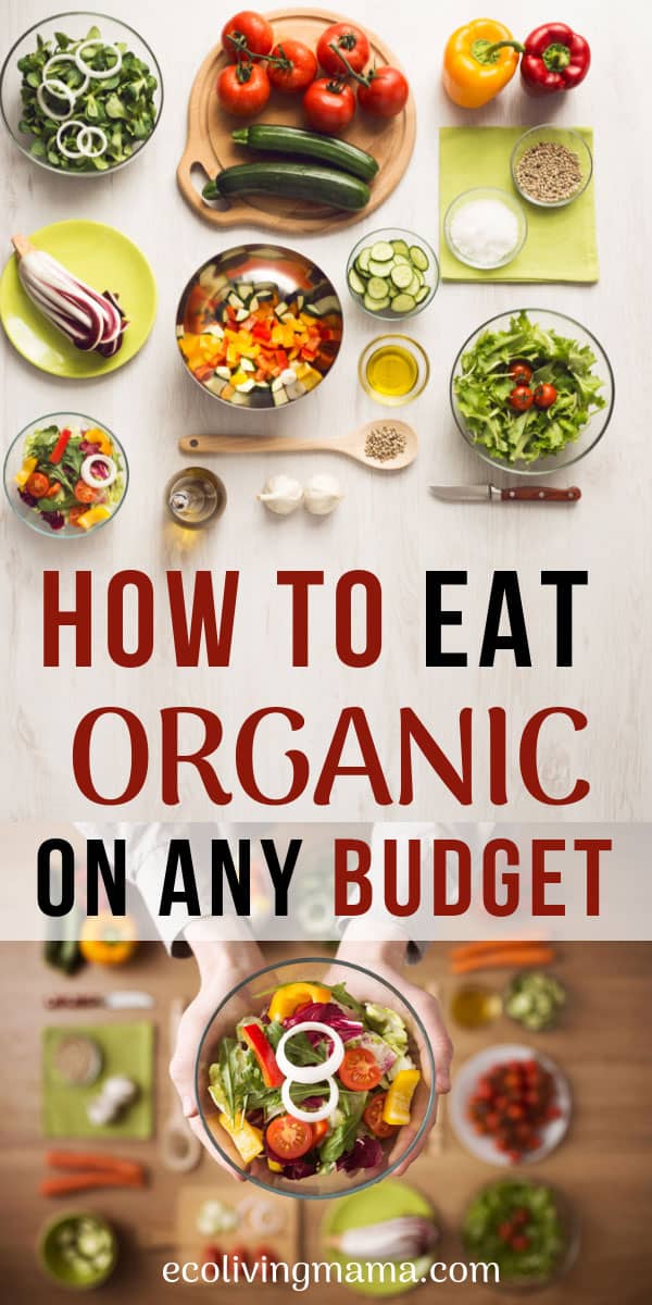 Is eating organic healthier How can you do that on a budget?