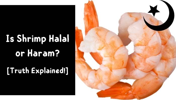 Is eating prawns allowed in Islam?