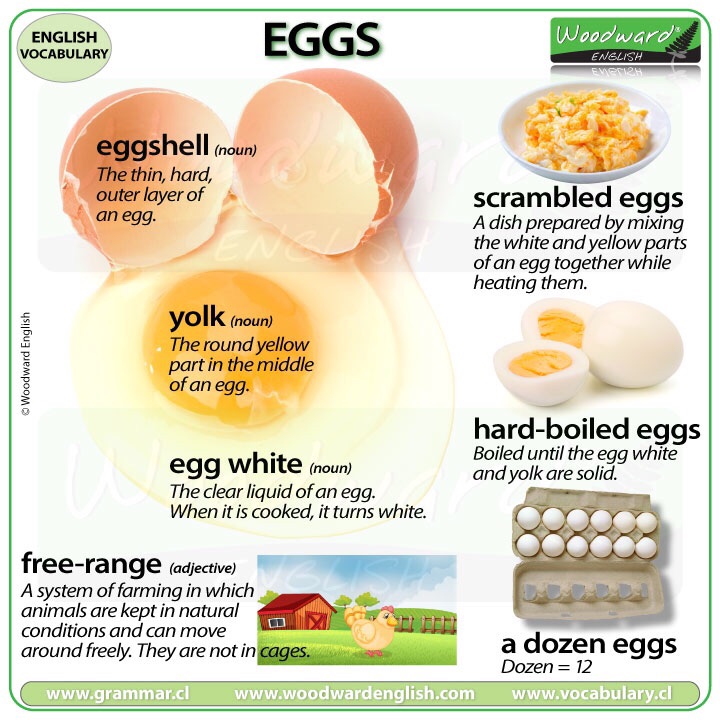 Is egg white a clear liquid?