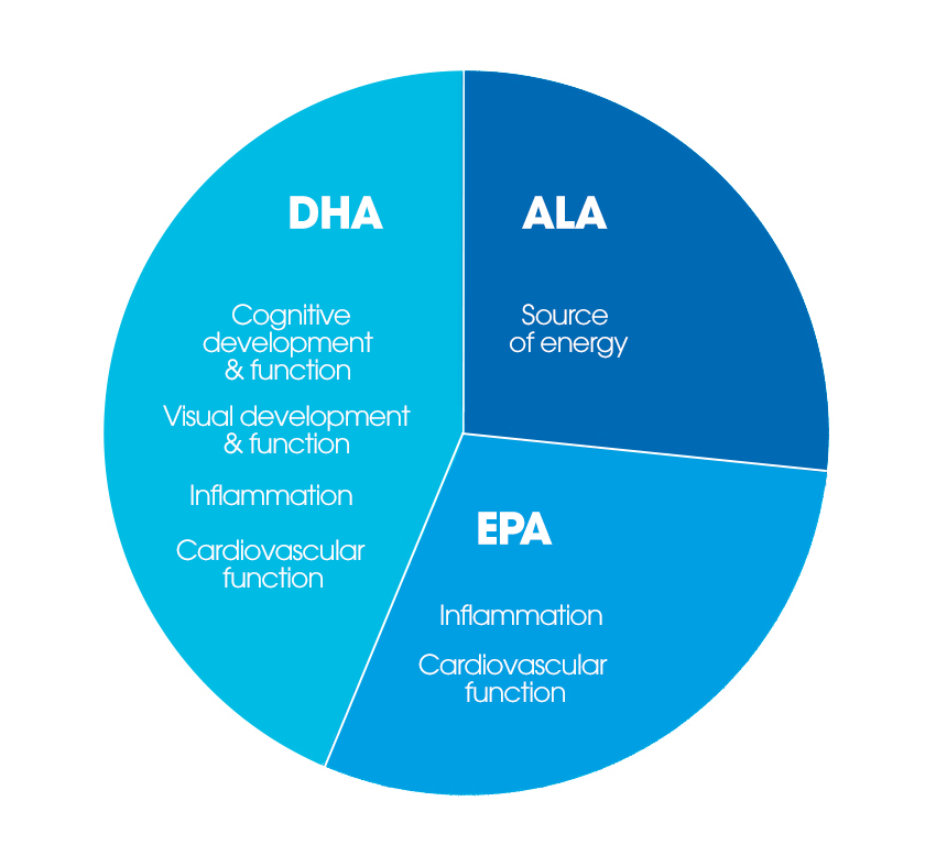 Is EPA more important than DHA?