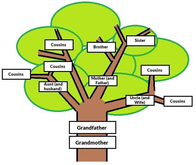 Is family tree a metaphor?