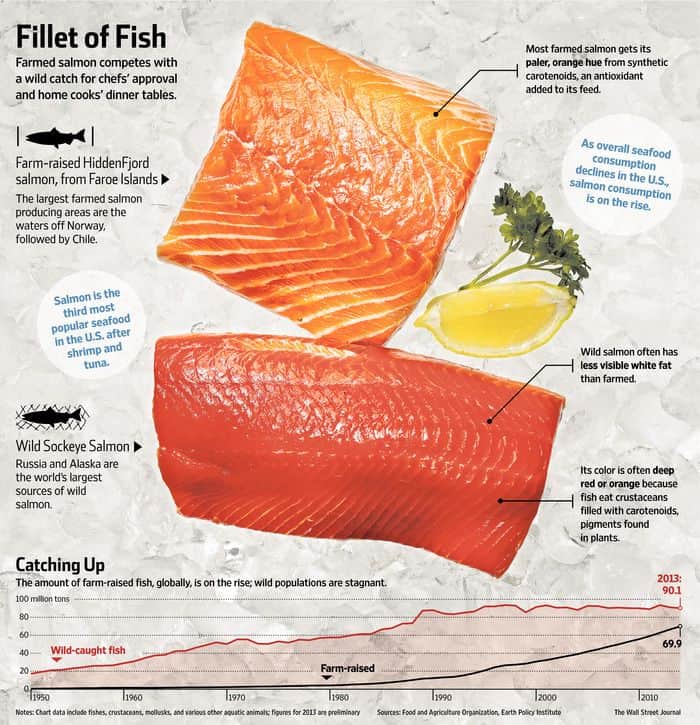 Is farm raised salmon more sustainable?