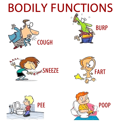 Is farting a bodily function?