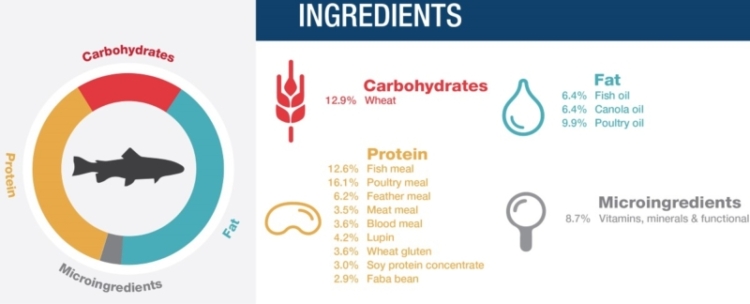 Is fish a carbohydrate or protein or fat?