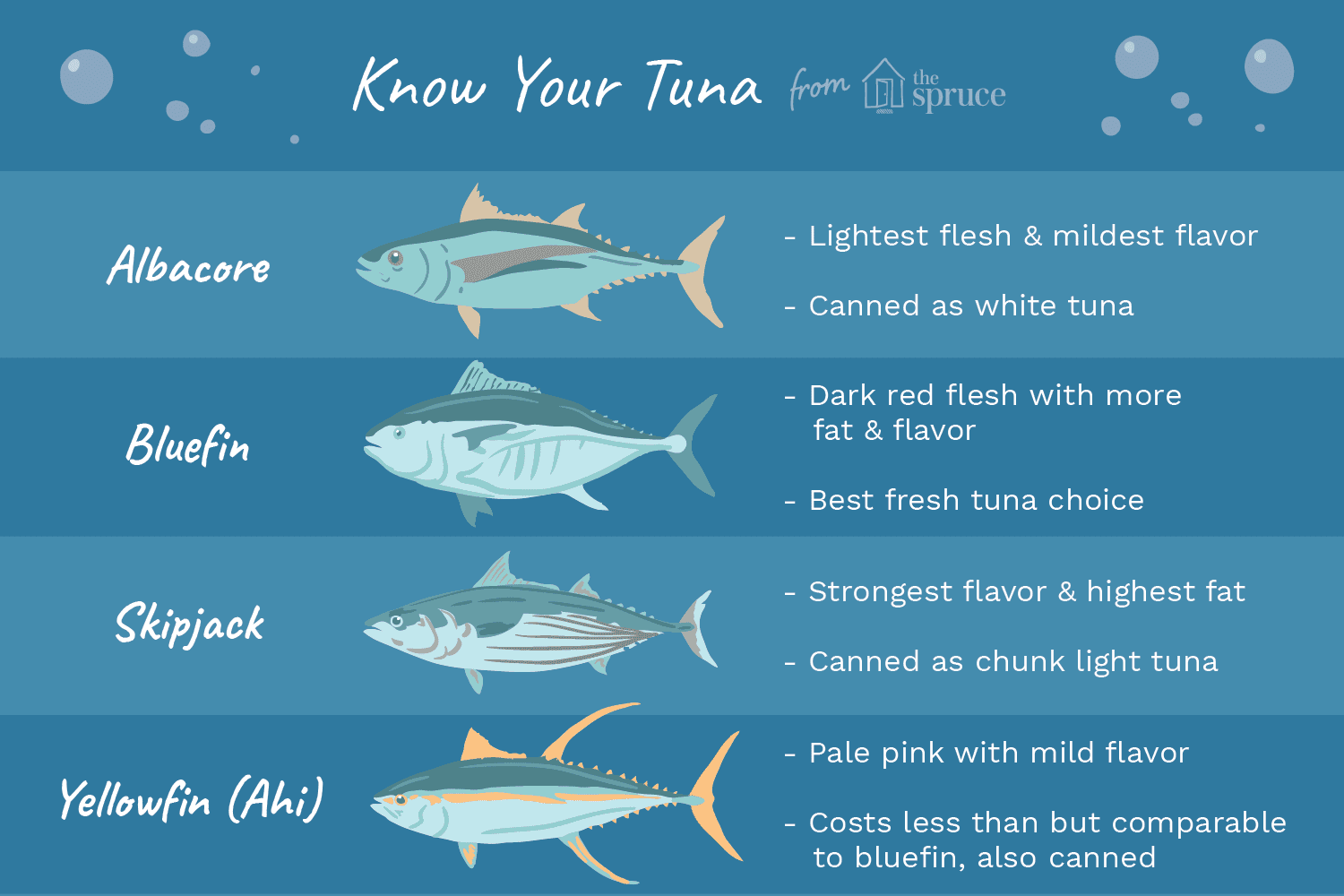 Is fish and tuna the same thing?