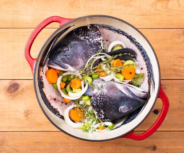 Is fish broth the same as fish stock?