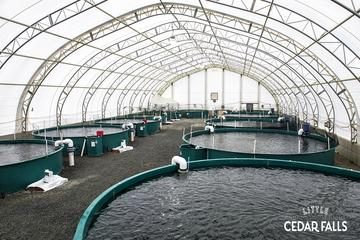 Is fish farming profitable in Canada?