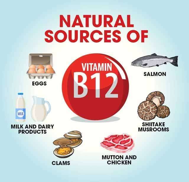 Is fish good for B12 deficiency?