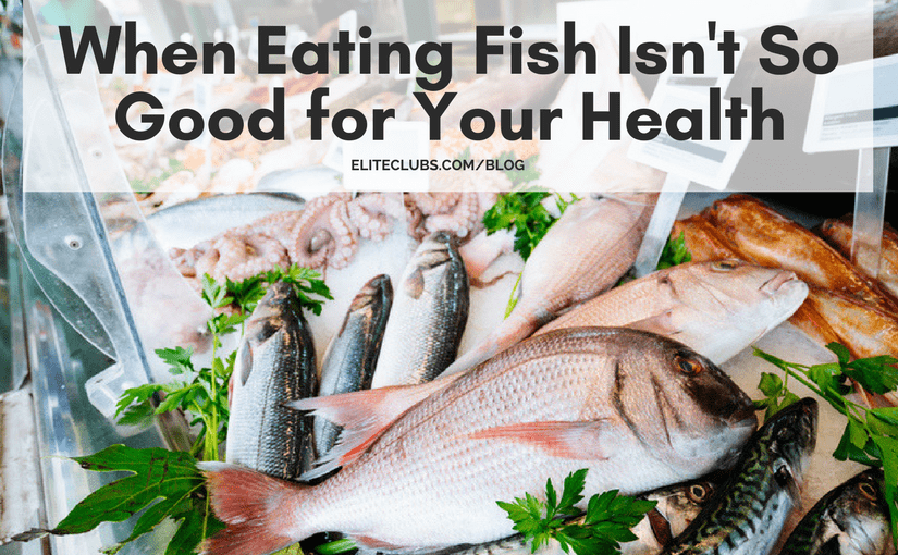 Is fish good for sports?