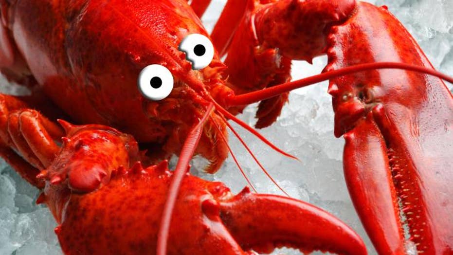 Is fish healthier than lobster?