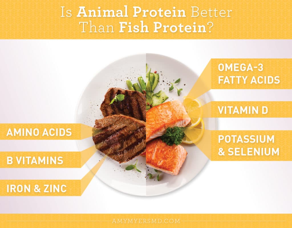 Is fish high in protein than meat?