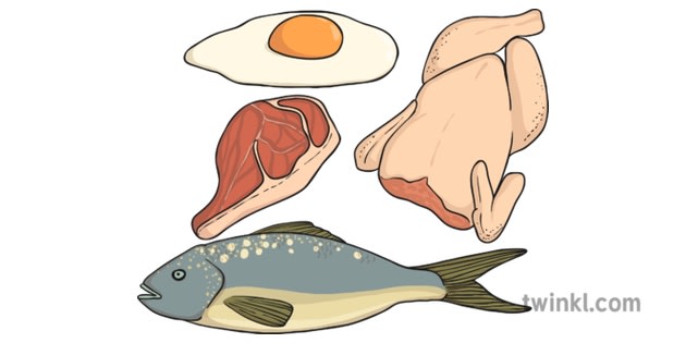 Is fish in the protein food group?