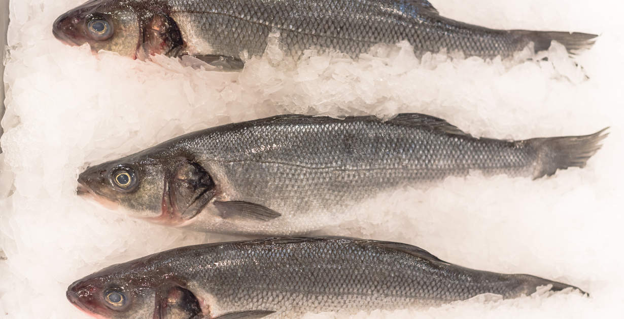 Is fish safe to eat anymore?