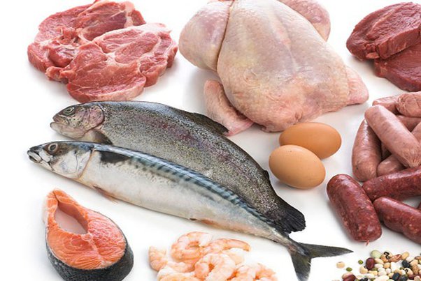 Is fish safer than meat?