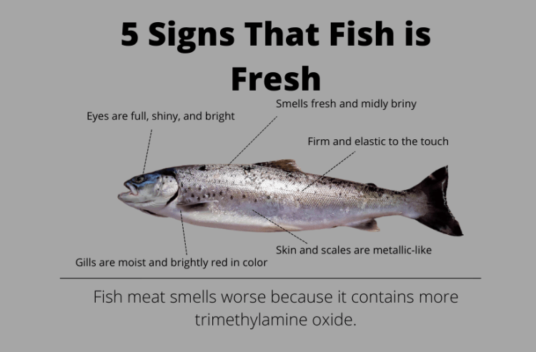 Is fish still good if smells?