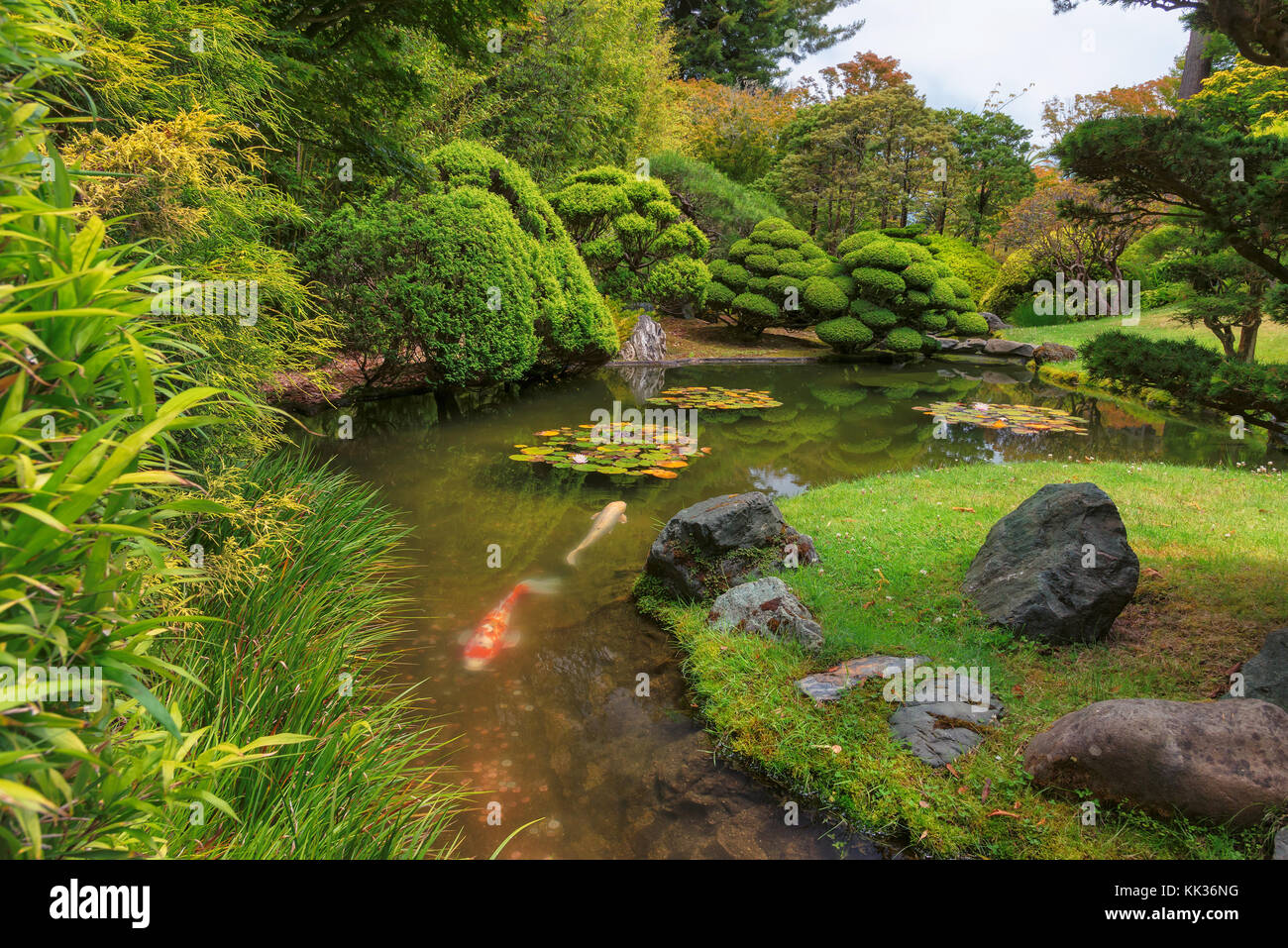 Is fish stock good for the garden?