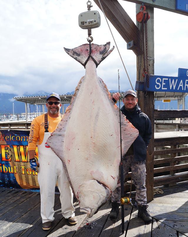 Is fishing better in Seward or Homer?