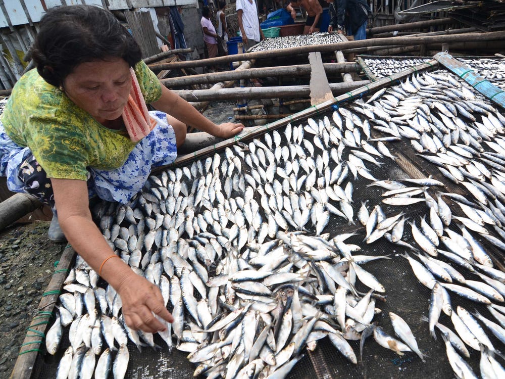 Is fishing good or bad for the economy?