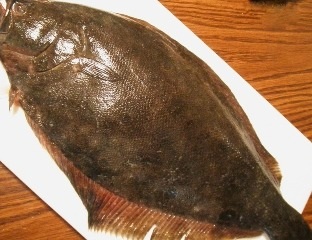 Is flounder considered a fatty fish?