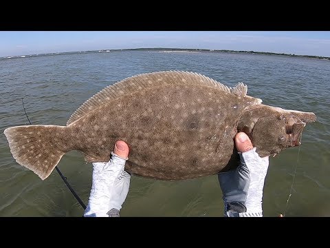 Is flounder toxic?