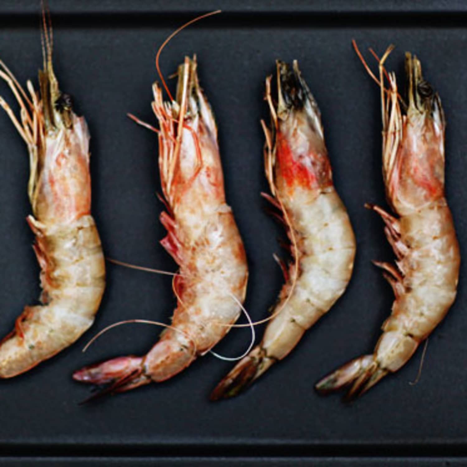 Is fresh shrimp better than frozen shrimp?