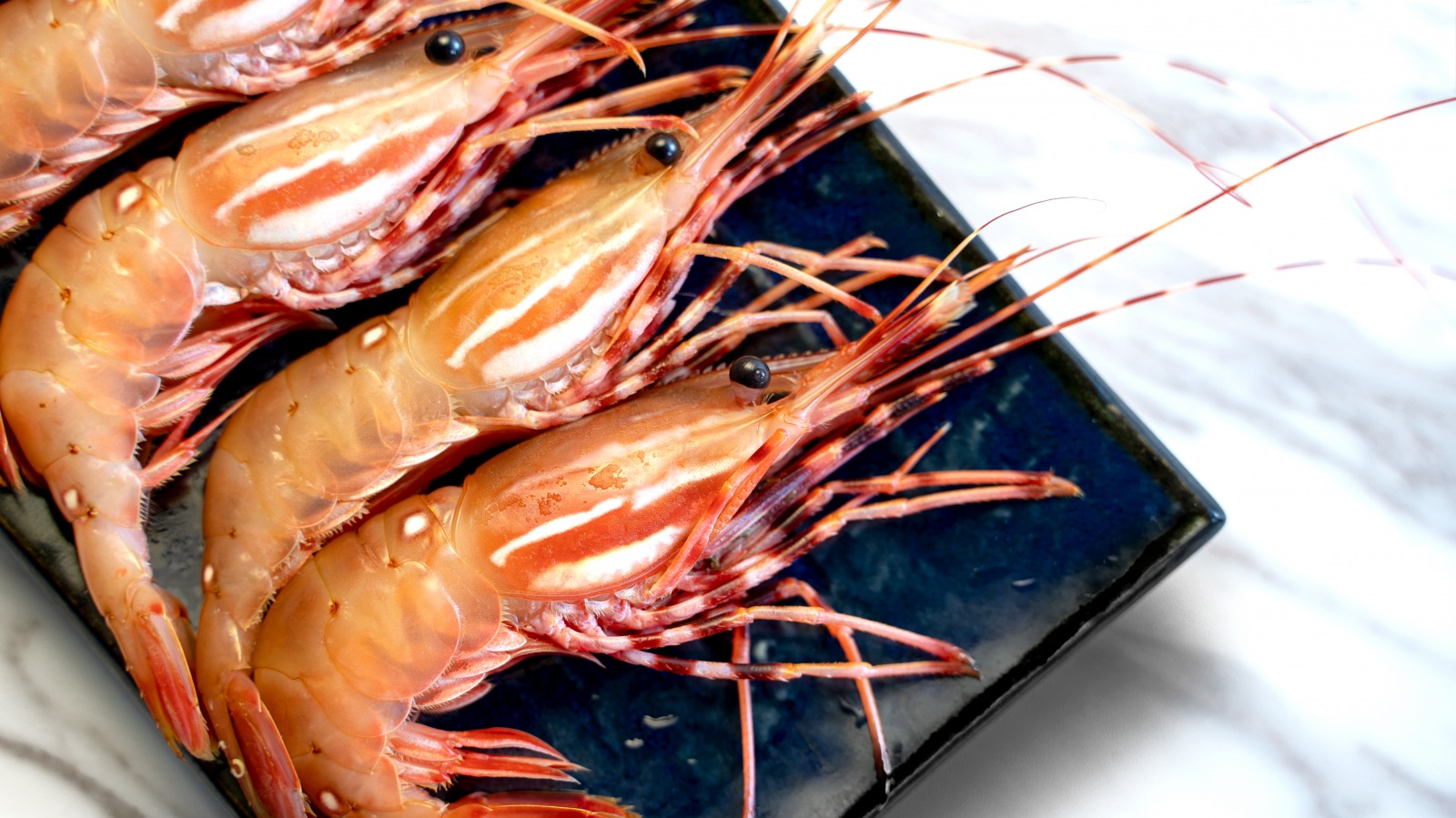 Is fresh shrimp expensive?