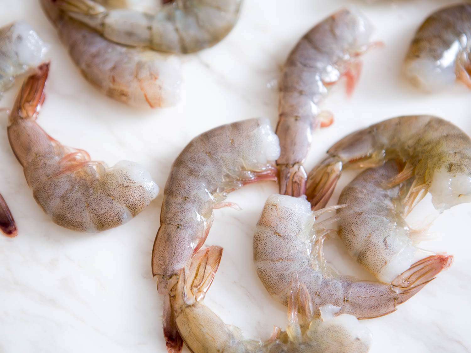 Is fresh shrimp the same as frozen?