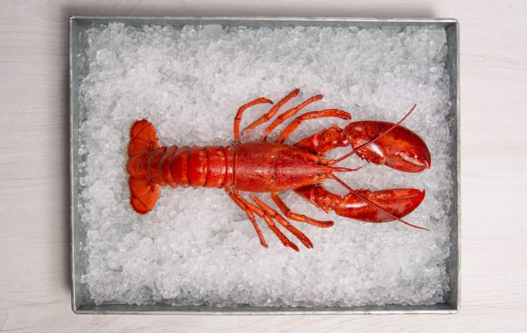 Is frozen cooked lobster good?