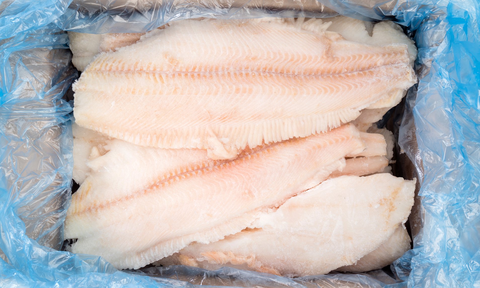Is frozen fish good for a year?