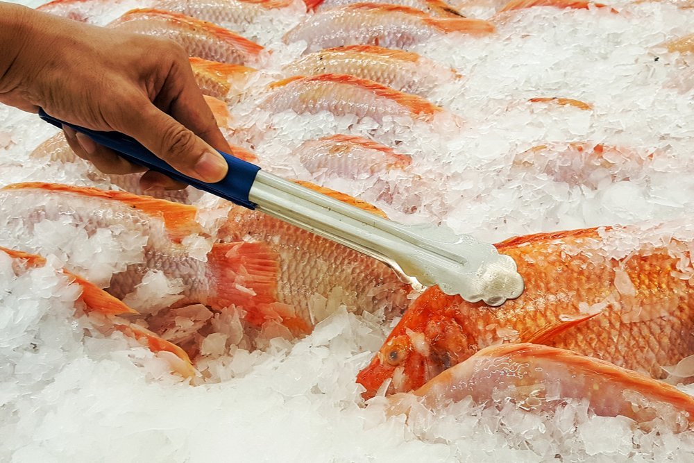 Is frozen fish good for health?