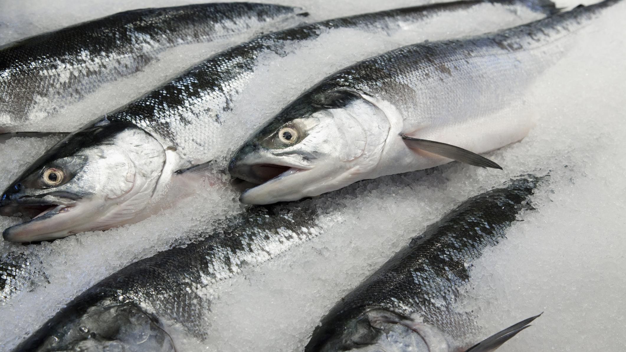Is frozen fish more expensive than fresh?