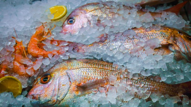 Is frozen fish on Ice really better for You?