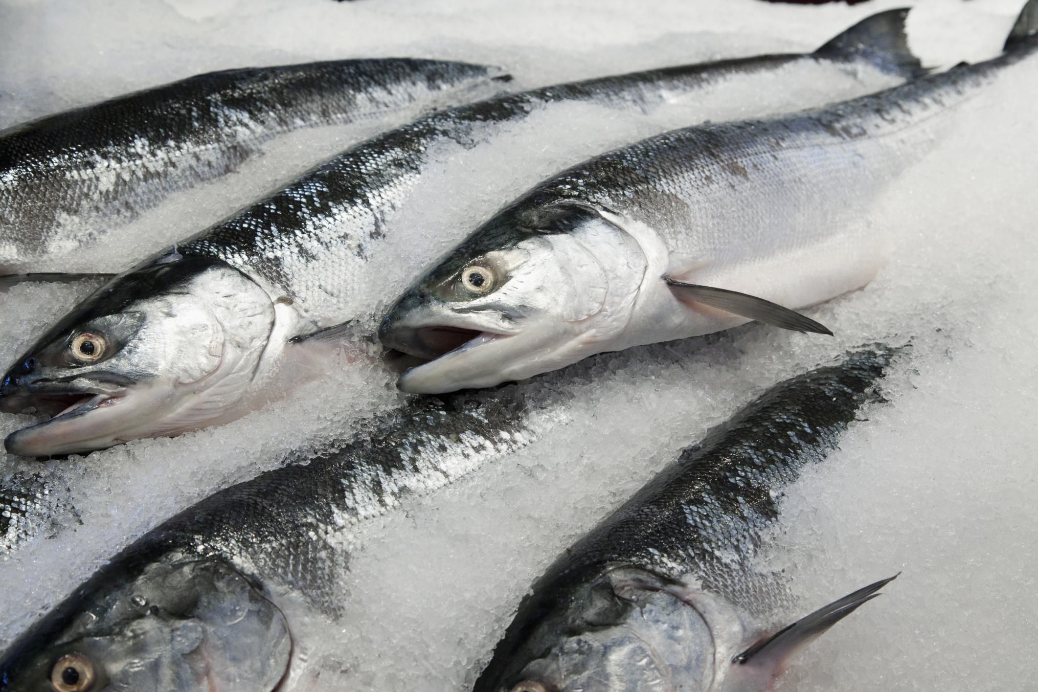 Is frozen raw fish healthy?