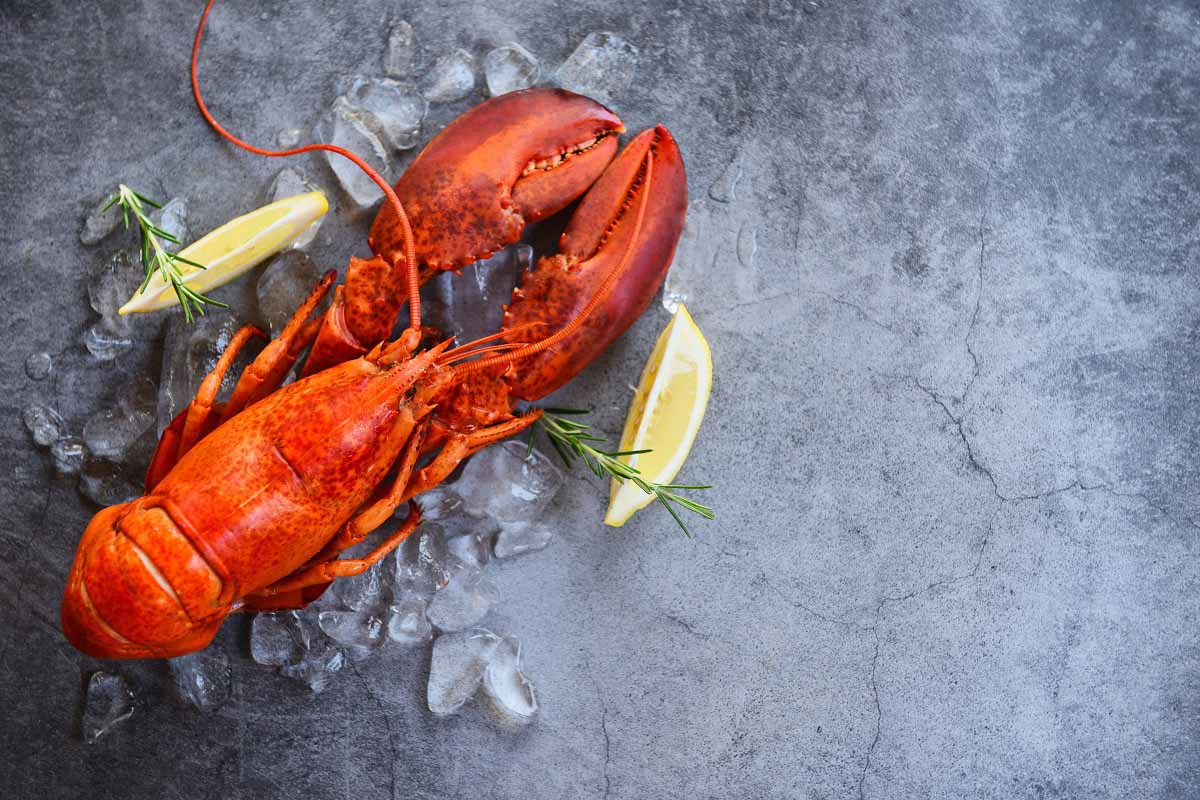 Is frozen raw lobster safe to eat?