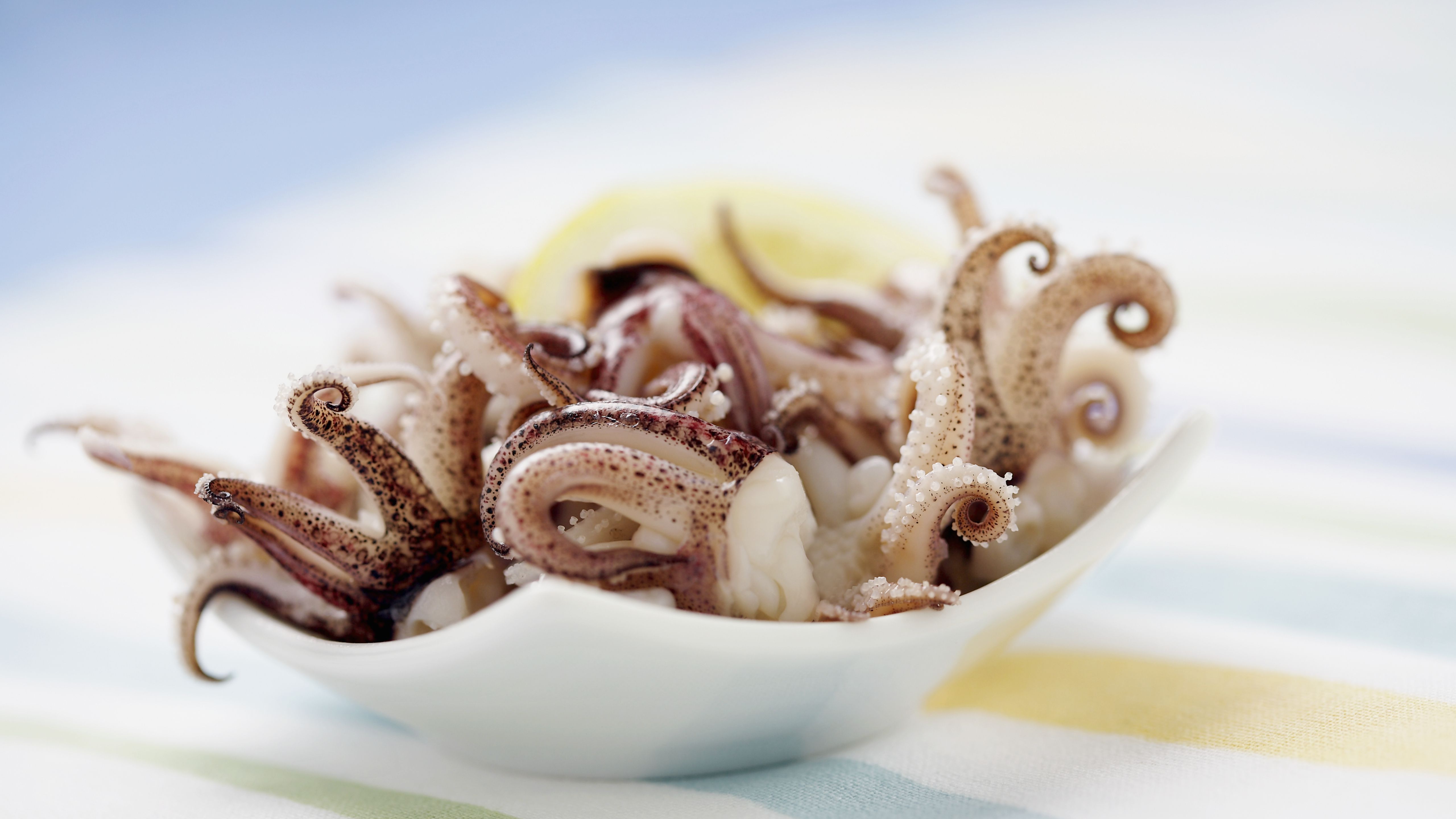 Is frozen squid chewy?