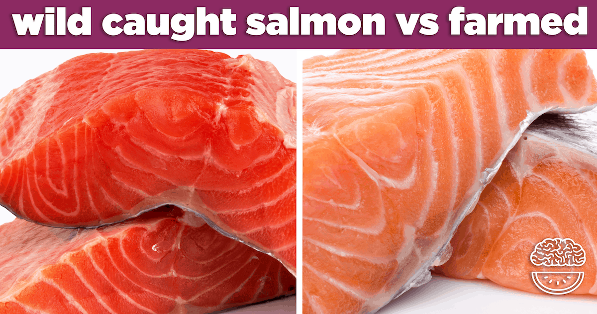 Is frozen wild caught salmon better than farm raised?