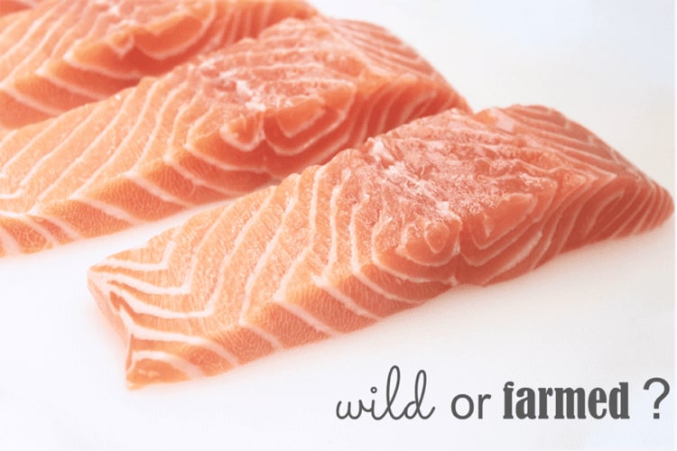 Is frozen wild caught salmon healthy?