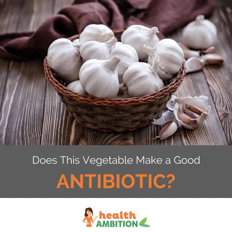 Is garlic a source of antibiotic?