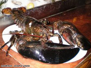 Is George the lobster alive?