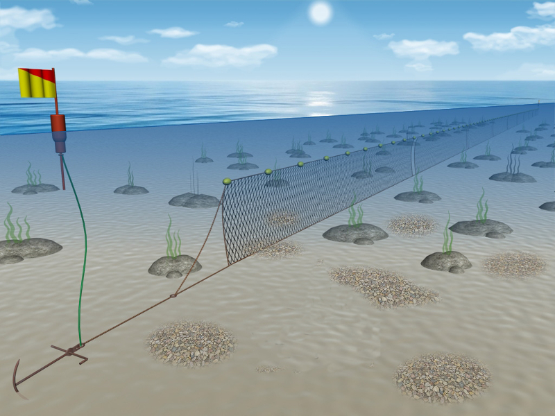 Is gill netting legal in the UK?