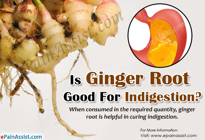 Is ginger good for indigestion?