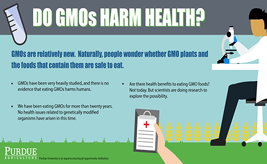 Is GMO beneficial or harmful?