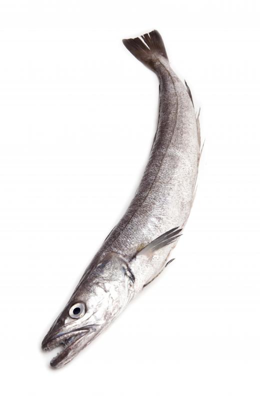 Is hake fish good for cholesterol?