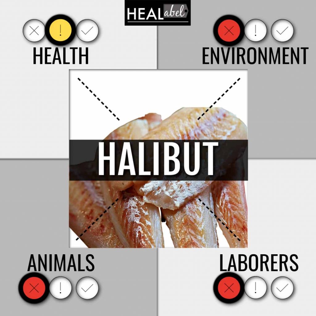 Is halibut ethical?