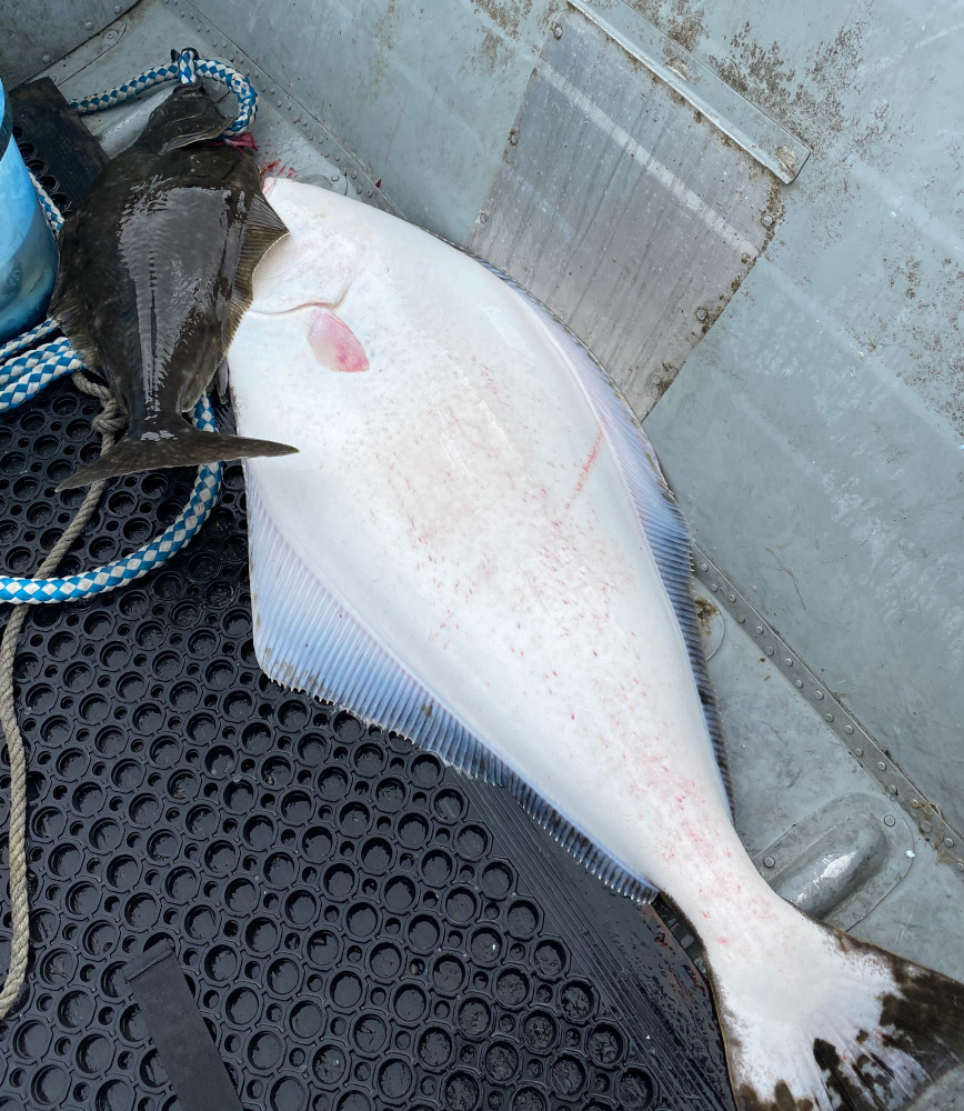 Is halibut fishing year round?