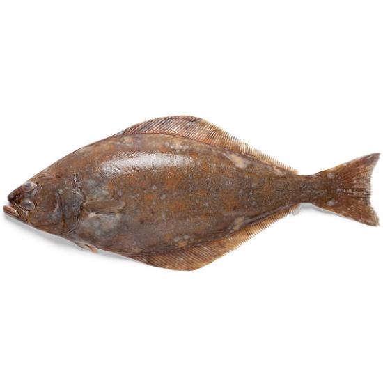 Is halibut good for keto?