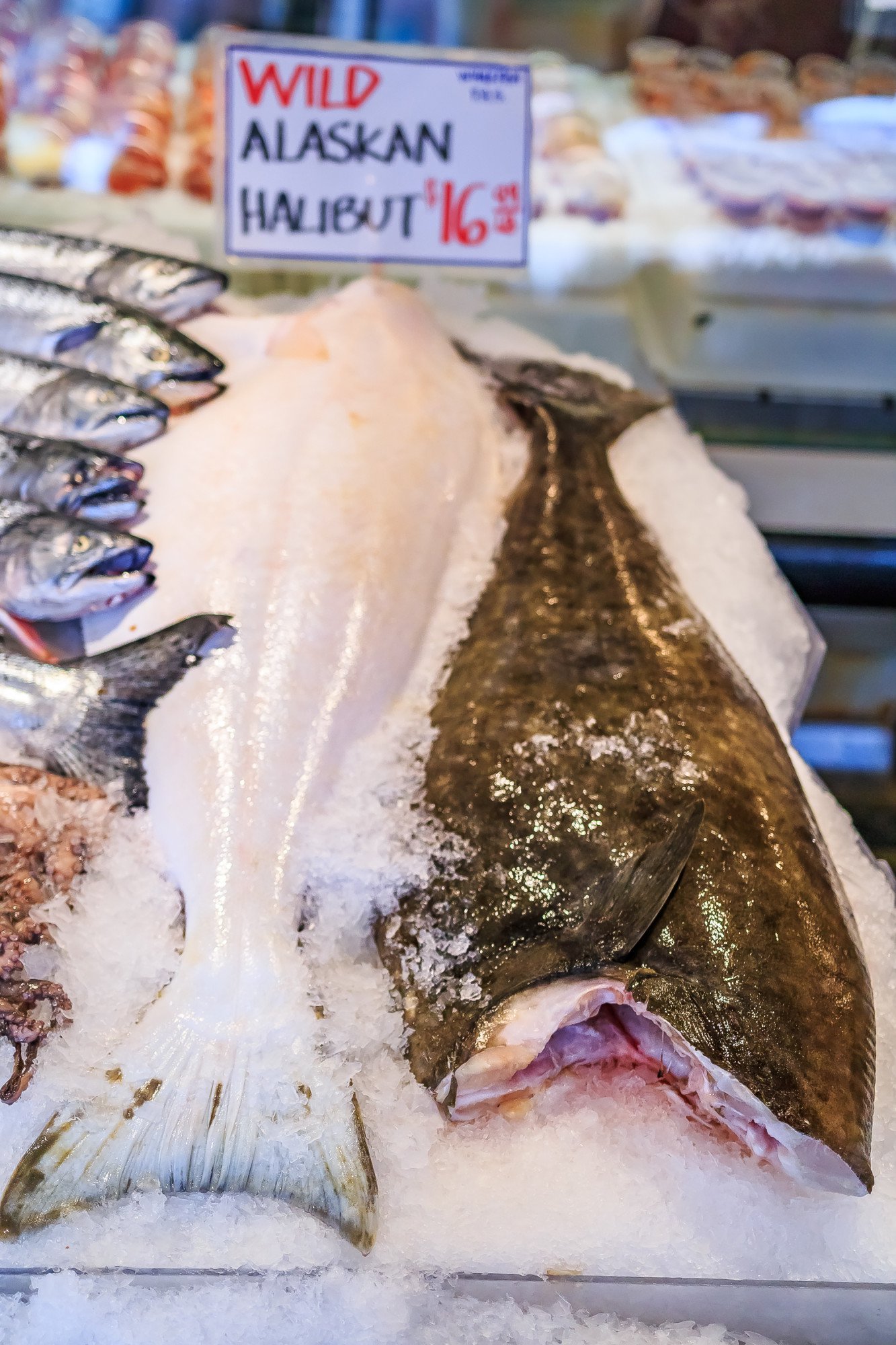 Is Halibut healthier than wild-caught fish?