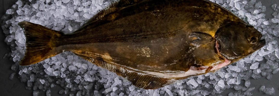 Is halibut sustainable UK?